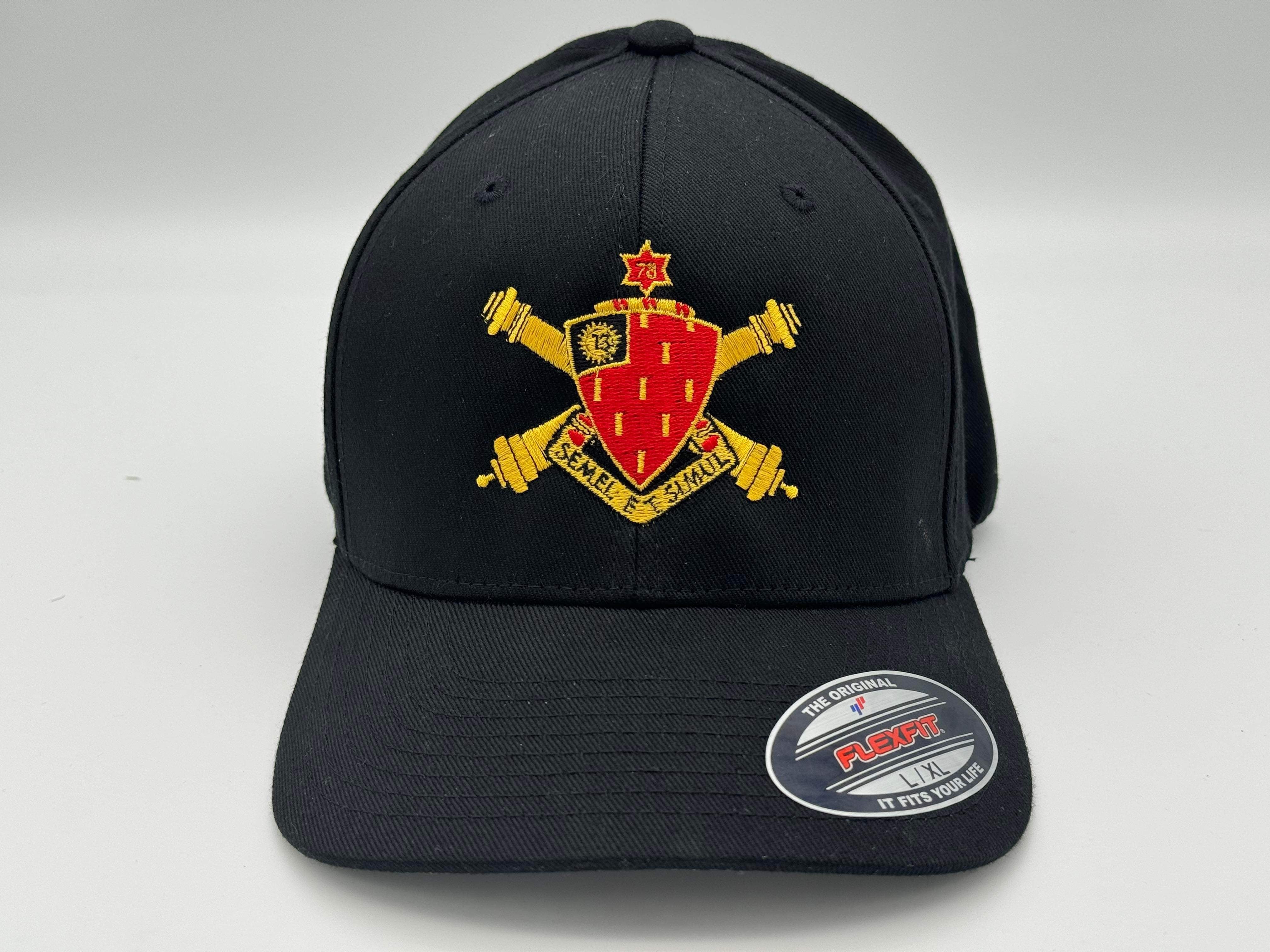 1st BN 78th Field Artillery Regiment